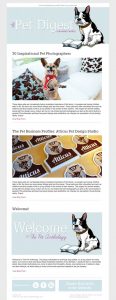 7 Steps To Create a Newsletter Design + Free Newsletter Templates