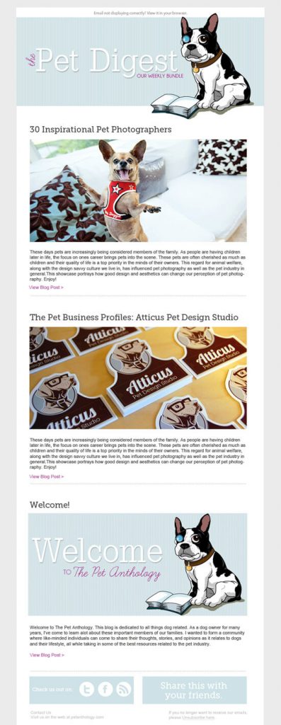 7 Steps To Create a Newsletter Design + Free Newsletter Templates