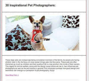 How To Code An Email Newsletter in 6 Simple Steps