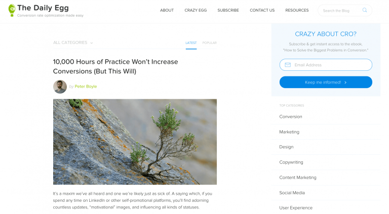 The Five Most Important Visual Elements Required for a Successful ...