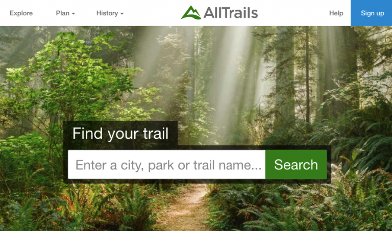 How to Grab Attention With Your Website Homepage Introduction