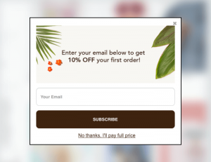How to Create an Effective Exit Popup and Get More Conversions (2018)
