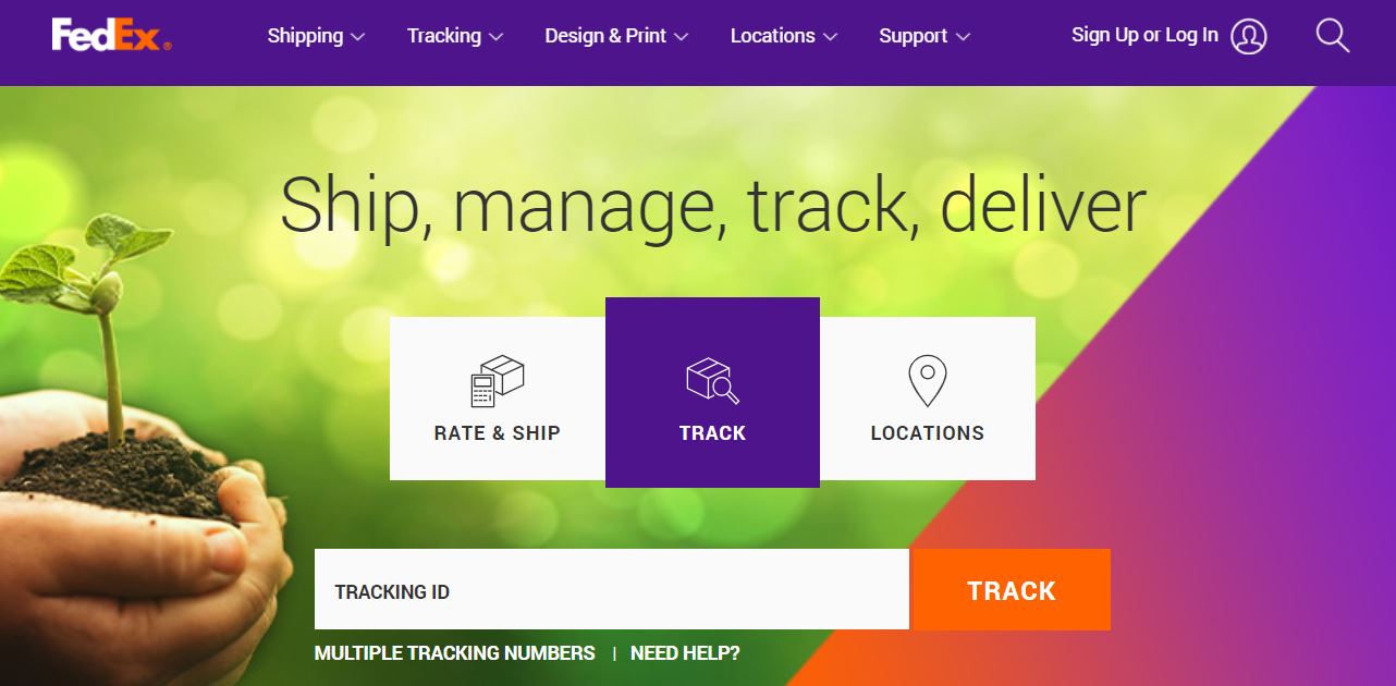 The Beginner s Guide To Website Design Best Practices