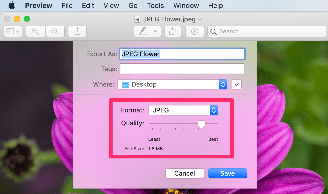 5 Steps to Optimize Images for a Website - Easiest Method