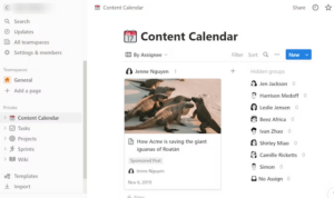 Notion Review--The Good and Bad