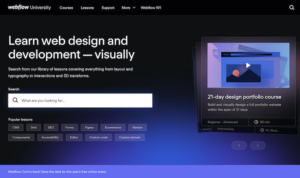 Webflow Review - The Good and Bad