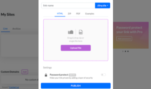 Tiiny Host Review - The Good and Bad for 2025