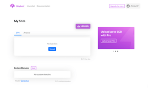 Tiiny Host Review - The Good and Bad for 2024