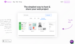 Tiiny Host Review - The Good and Bad for 2024