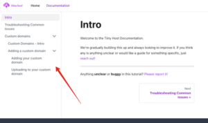 Tiiny Host Review - The Good and Bad for 2024