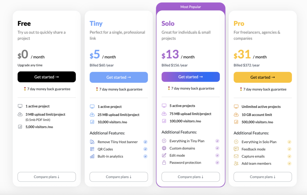 Tiiny Host Review - The Good and Bad for 2025