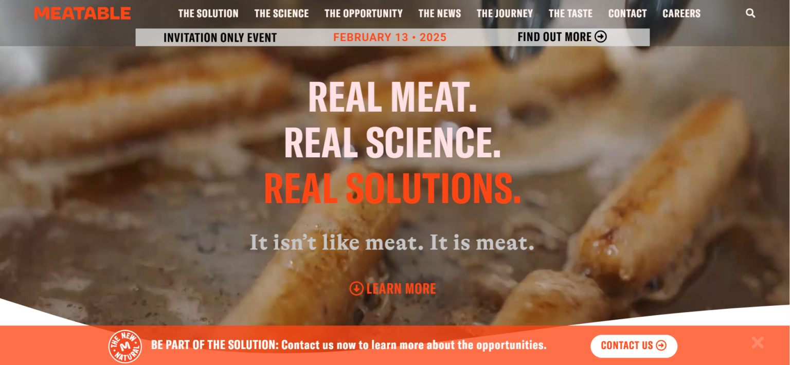 7 Startup Website Examples and The #1 Design Tip From Each