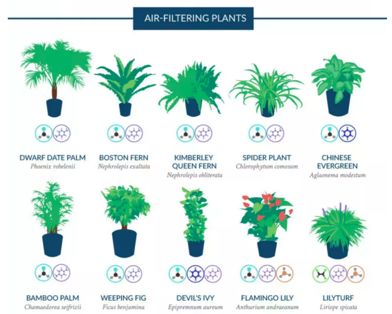 The Blog Post Structure That Google (and Readers) Love